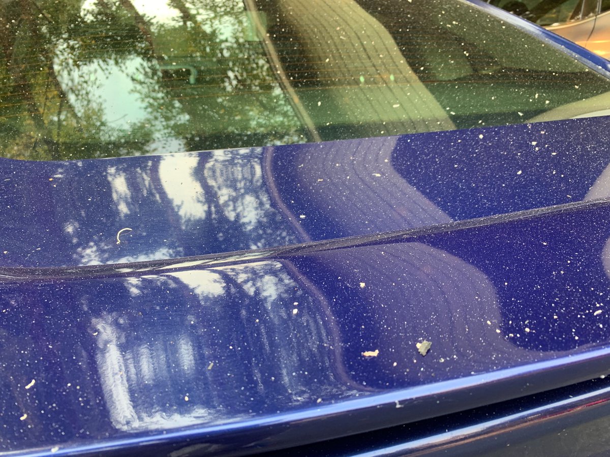 Take Care of Vehicles During Wildfire Season - DAD's Construction
