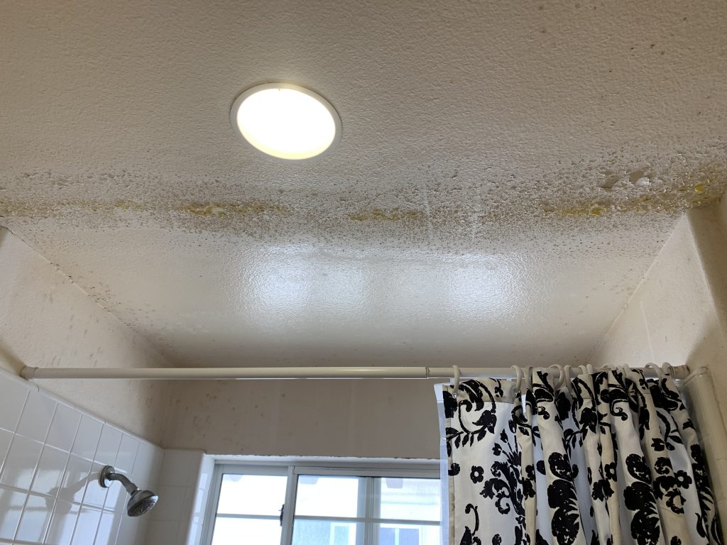 Bathroom Ventilation - DAD's Construction